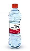 Natural mineral water MANGAĻI still, PET, 0.5l | Officeday